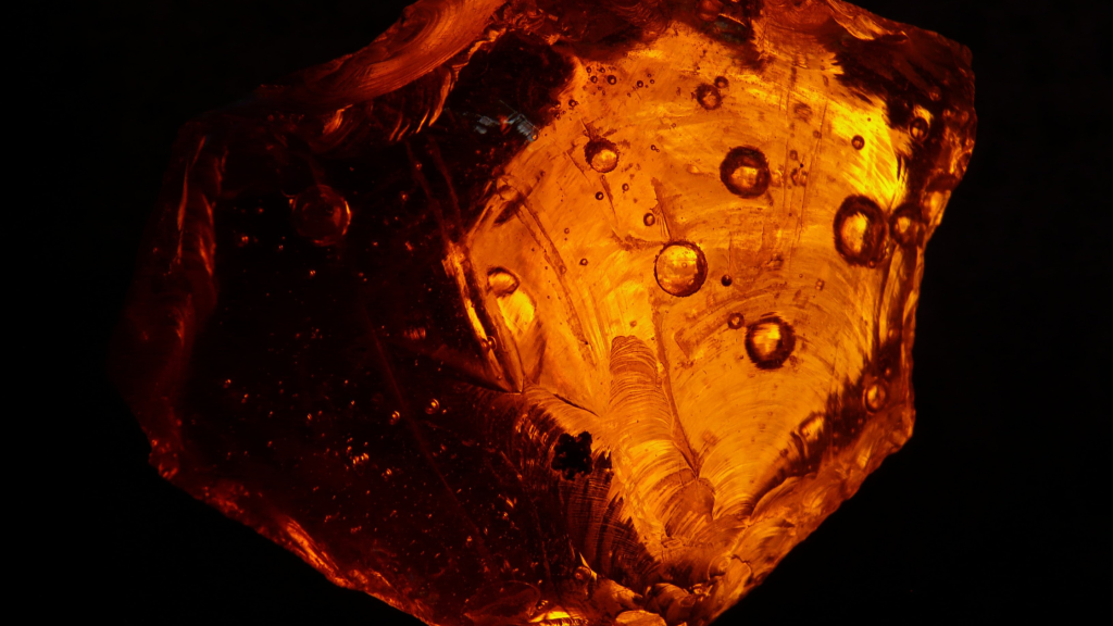 Despre chihlimbar: istoric, localizare și utilizări - Pe căile cunoașterii